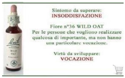 Bach Centre: Fiore di Bach Cerato secondo Judy Howard e John Ramsell