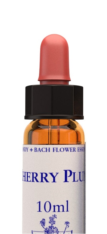 Il Fiore di Bach Cherry Plum secondo il Dr. Roberto Pagnanelli
